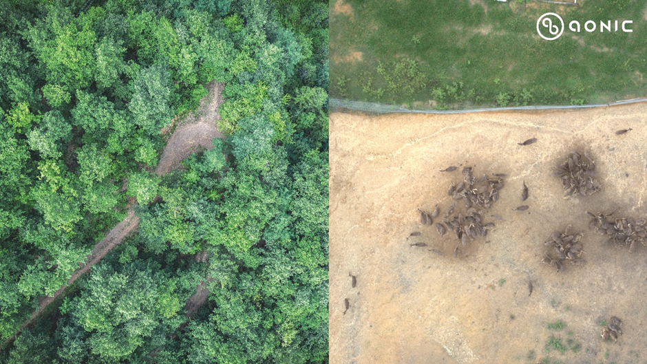 Track Smarter: How the DJI Zenmuse H30T is Changing Farm Animal Monitoring